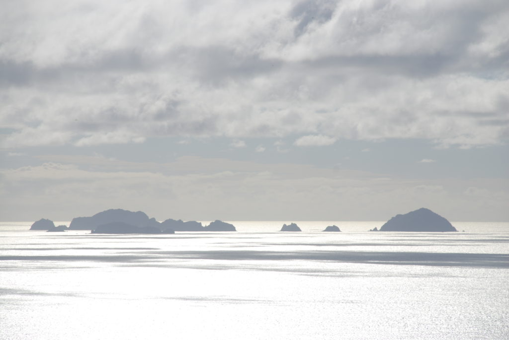 Coromandel - Double Disaster Day - #1 - Rosie and The Operator